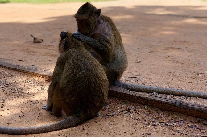 Amazing Tour To Kulen Mountain Waterfall, Sunset at Kompong Plok Foating Village - Considerations & Drawbacks