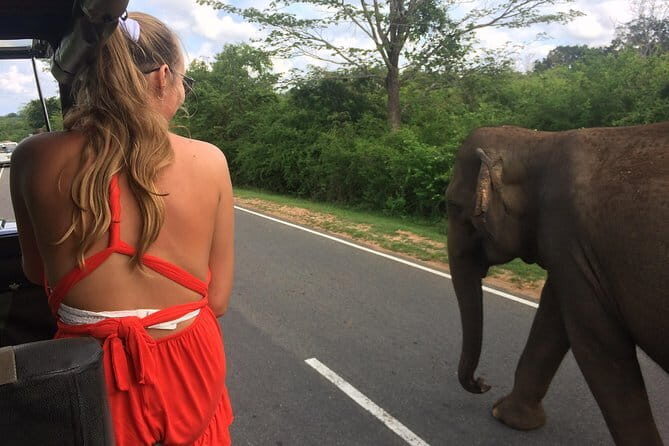 Amazing Tuk-Tuk Day Tour in Ella - Authenticity and Overall Value