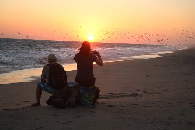 Amazing Turtle Release Tour - Stop 1: Santuario La Escobilla