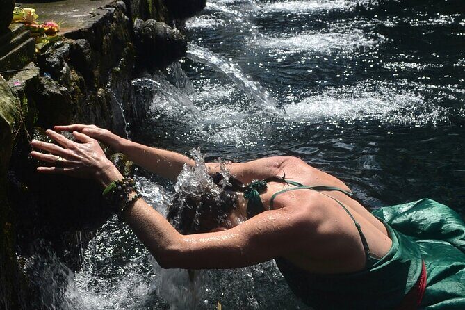 Amazing Ubud Half Day Private Tour All Inclusive - Key Points