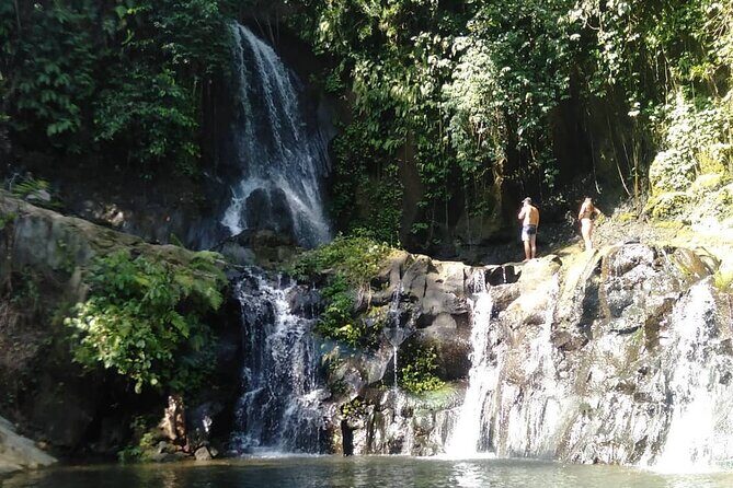 amazing waterfall tour with half day - Introduction: Why This Tour Might Be Your Best Half-Day Escape in Ubud