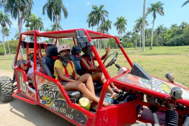 Amber Cove and Taino Bay Shore Excursion: Buggy Tour - Value and Overall Impression