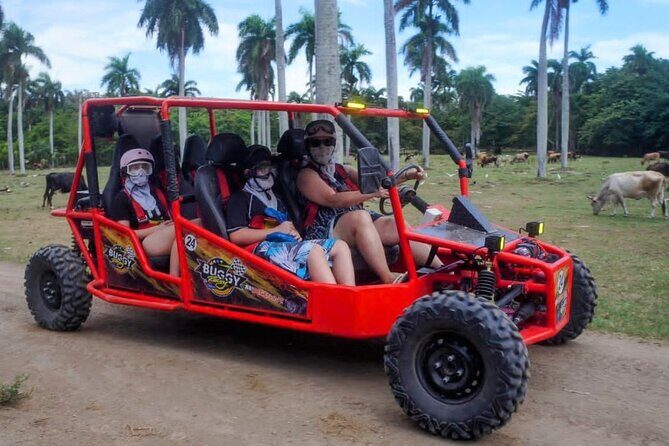 Amber Cove Buggy Tour with Swimming and Tasting - How This Tour Balances Value and Experience