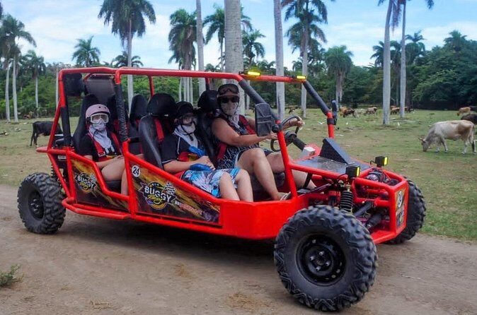 Amber Cove Buggy Tour with Swimming and Tasting - Frequently Asked Questions
