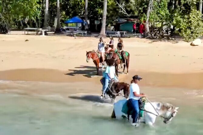 AMBER COVE-TAINO BAY Horses Beach Ride & City Sightseeing - Key Points