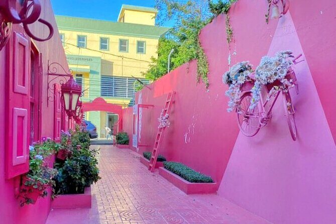 AMBER COVE-TAINO BAY Horses Beach Ride & City Sightseeing - The Sum Up