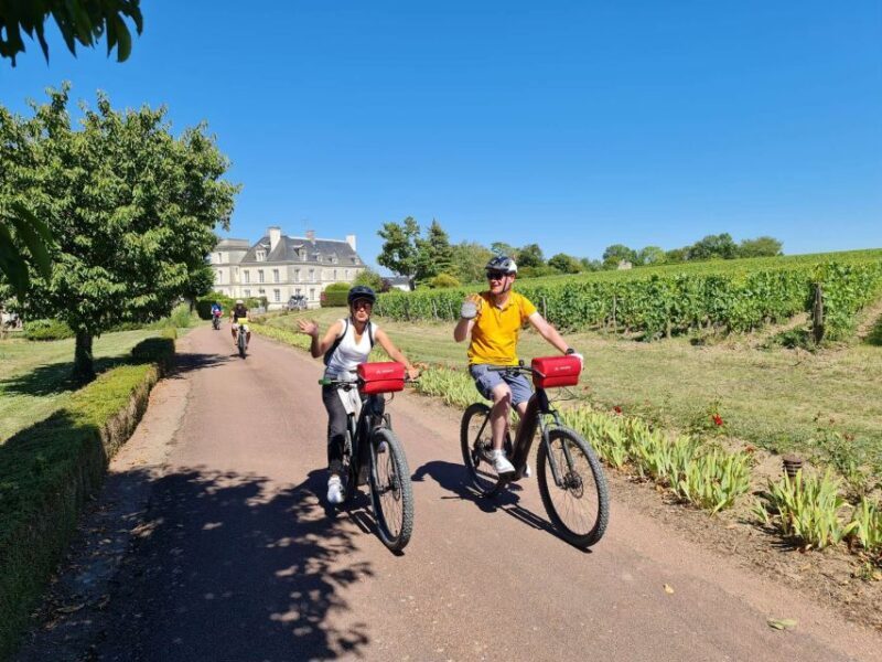 Amboise: Highlights Private E-Bike Tour w/ Clos Lucé Ticket - Introduction: Why This Tour Stands Out