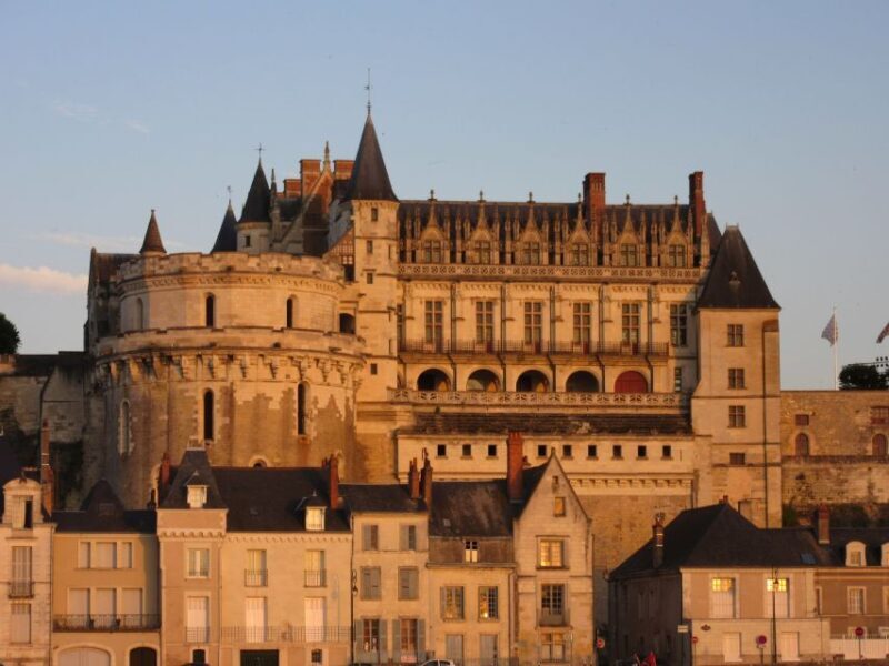 Amboise: Private Guided Tour of the Castle with Entry Ticket - Exploring the Castles Highlights