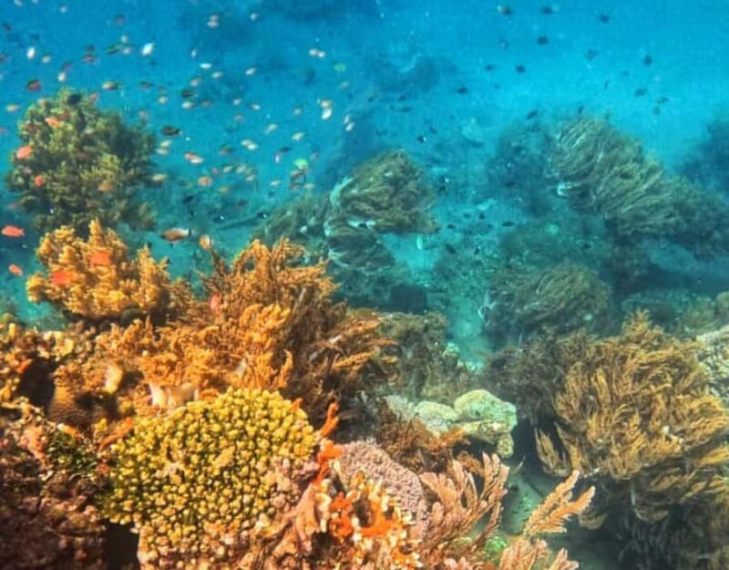 Amed All Exclusive Snorkeling, Fishing & Cooking Lunch - Value and Pricing