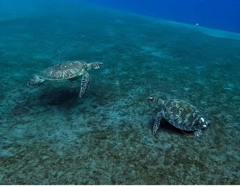 Amed Bali Snorkeling: Explore 3 Spots by Traditional Jukung - What Makes This Tour Special?