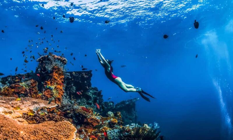 Amed: Snorkeling Trip to the Japanese Shipwreck - Key Points