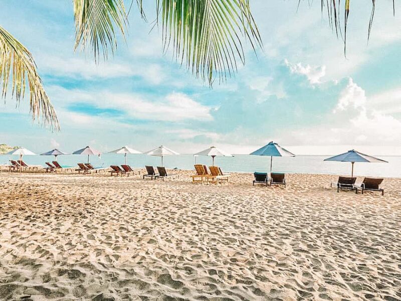 Amed: Snorkeling Trip to the Japanese Shipwreck - Who Should Book This Tour?