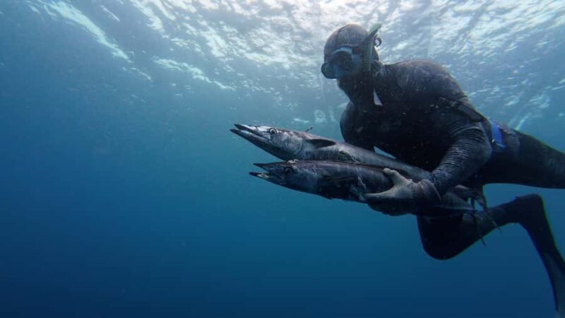 Amed: Spearfishing, Freediving and Catch & Cook Adventure - Amed: Spearfishing, Freediving and Catch & Cook Adventure — A Deep Dive into Authentic Bali Ocean Life