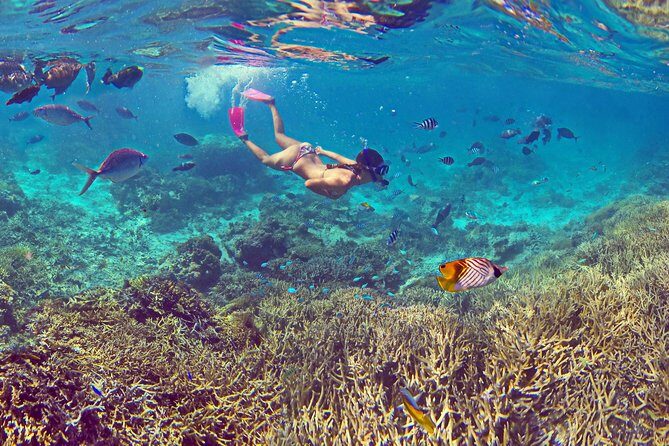 Amedee Lighthouse - Key Points