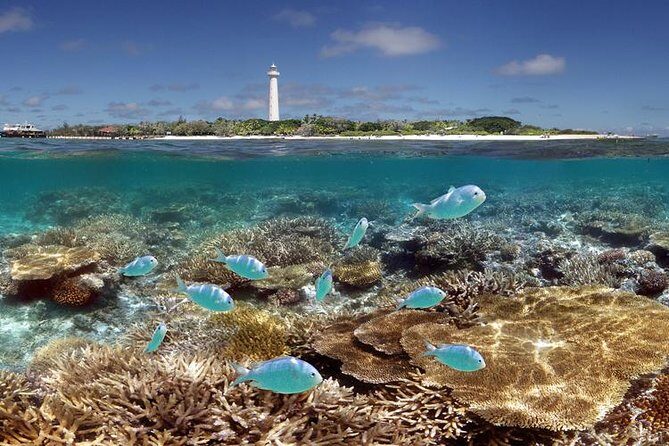 Amedee Lighthouse - Highlights That Make This Tour Stand Out