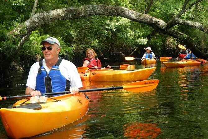 Amelia Island Area Kayak Rental on Lofton Creek with Adventures Up The Creek - Introducing the Lofton Creek Kayak Rental Experience