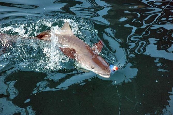Amelia Island Inshore Fishing Charter - The Itinerary Breakdown: Making the Most of Your Day