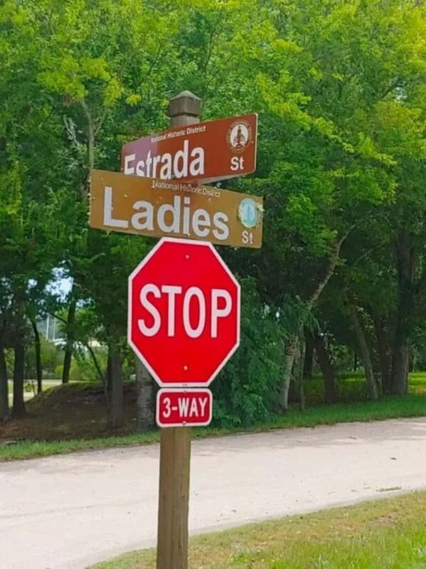 Amelia Island: Island-Wide Heritage Tour - Who Will Love This Tour?