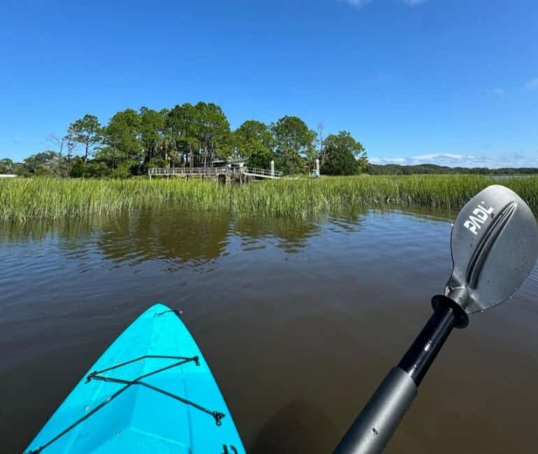Amelia Island: Paddle Board or Kayak Rental - PADL Island - A Closer Look at the Experience