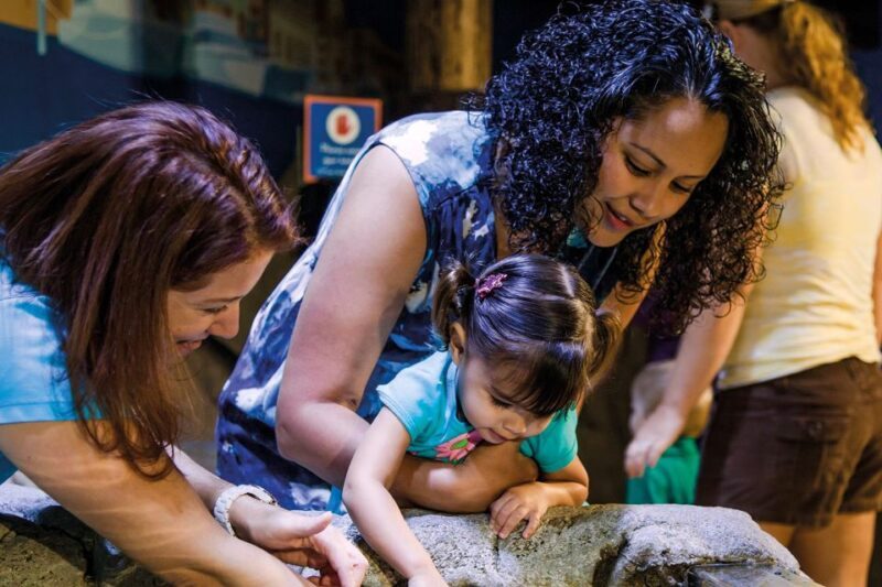 American Dream: SEA LIFE® Aquarium Entry Ticket - FAQs