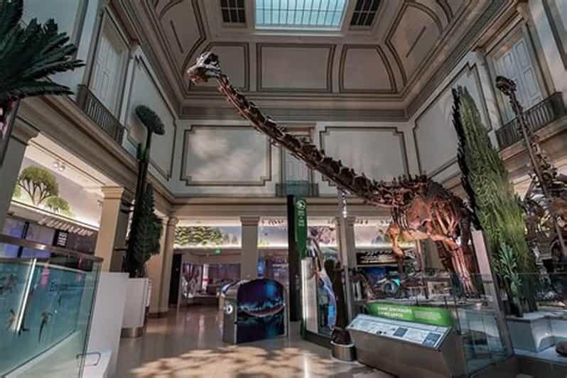 American History/Natural History Museum Combo Guided Tour - An In-Depth Look at the Tour Experience