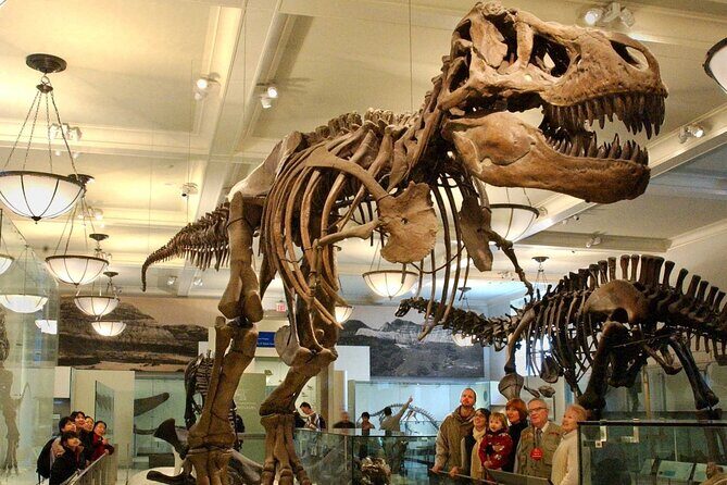 American Museum of Natural History Admission Ticket - What You Can Expect from Your Visit