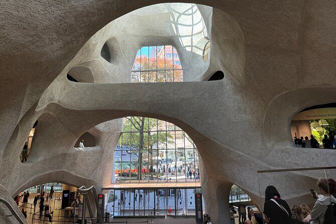 American Museum of Natural History and MOMA Combo Tickets - Final Thoughts