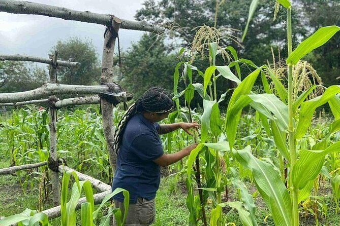 America's Home Town Plymouth Private Tour - The 1749 Court House and Museum