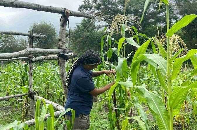 America's Home Town Plymouth Private Tour - Final Stops: Other Historic Homes and Monuments