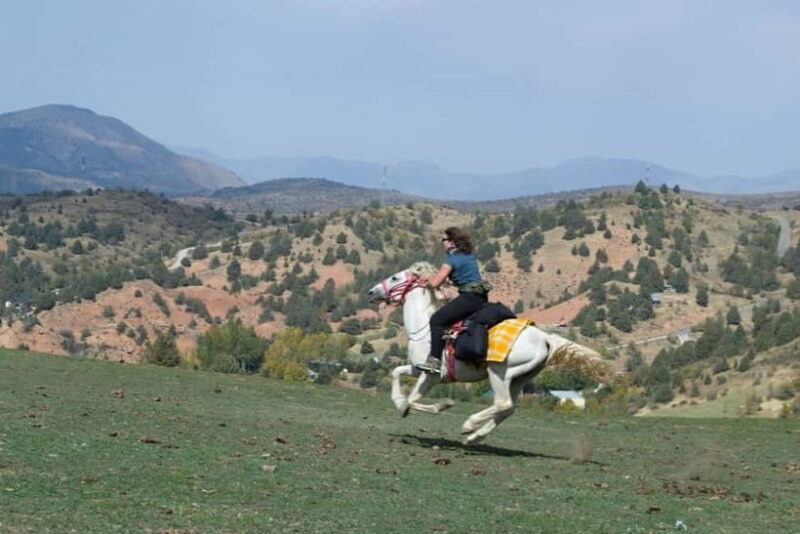 Amirsoy, Chimgan & Charvak Full-Day Adventure - Frequently Asked Questions