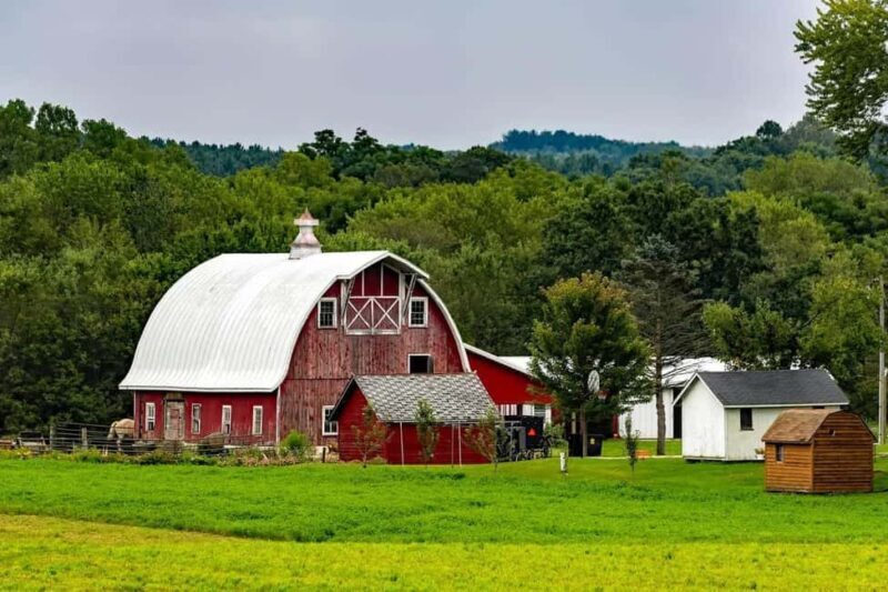 Amish Farm and House 1-Day Tour From Washington D.C. - Who Would Love This Tour?