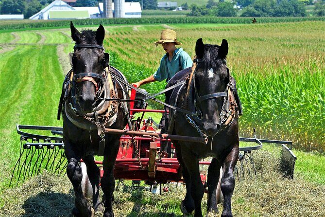 Amish Farmlands Tour - Exploring the Amish Farmlands Tour: A Genuine Look