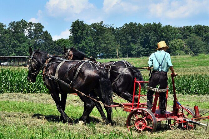 Amish Farmlands Tour - Analyzing Value and Real-Life Feedback