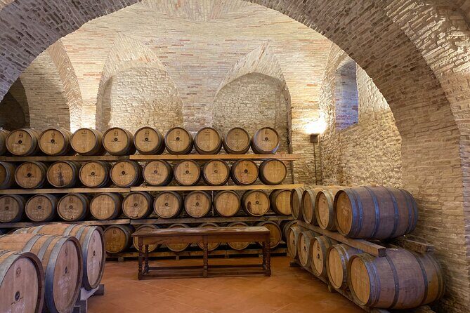 Among ancient sunny vineyards, visit and taste the wines from the San Lorenzo cellar - What to Expect from the San Lorenzo Winery Tour