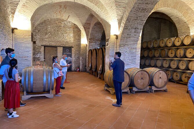 Among ancient sunny vineyards, visit and taste the wines from the San Lorenzo cellar - Practical Tips for Booking