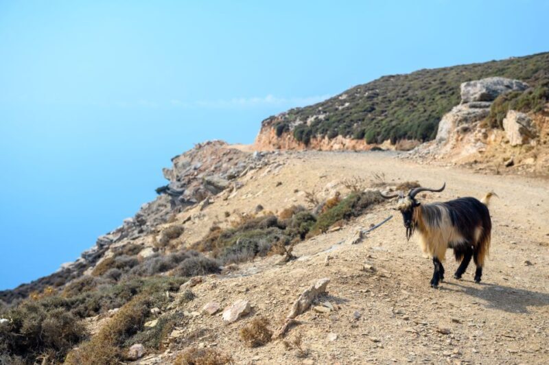 Amorgos: Guided Hike of the Panagia Hozoviotissa Monastery - An In-Depth Look at the Experience