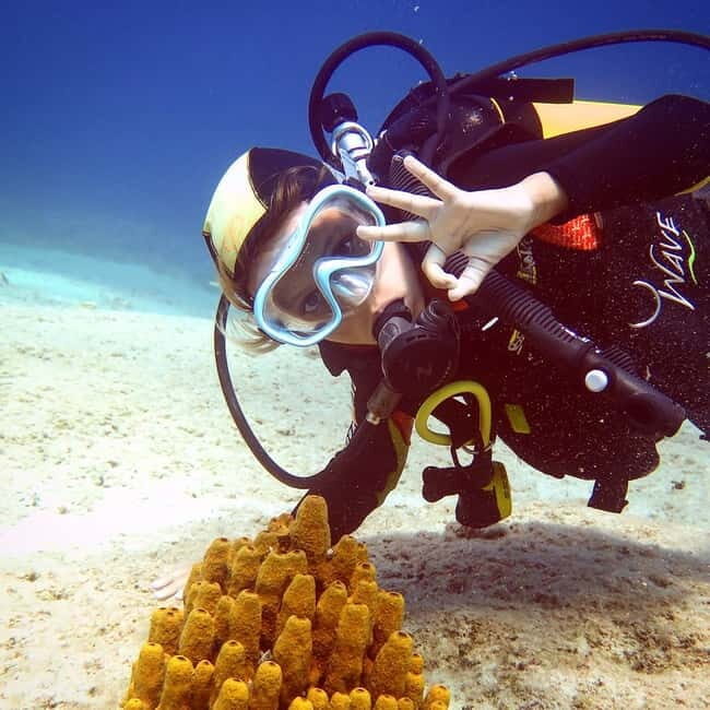 Amorgos: Try Scuba Diving Experience - Introduction