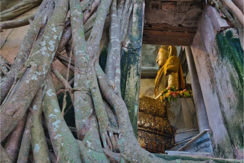 Amphawa & Railway Market & Boat Ride: from BKK - The Pros and Cons: Balancing the Experience