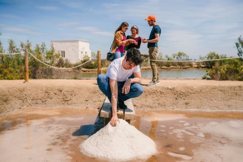 Amposta: MónNatura Delta de l'Ebre Entrance Ticket - Key Points