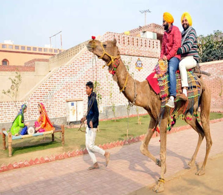 Amritsar: Evening Tour to Sadda Pind with Dinner - Discover Authentic Punjabi Life with the Evening Tour to Sadda Pind
