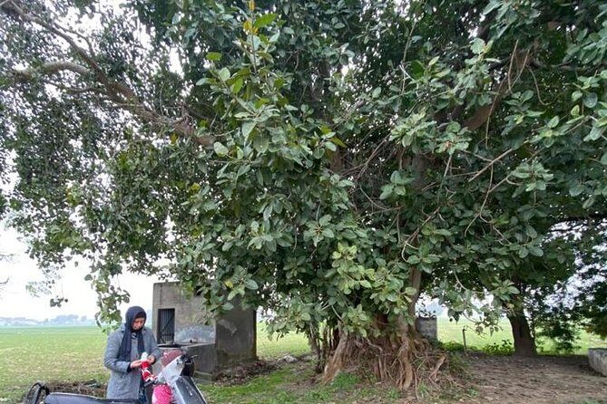 Amritsar Full Day Tour with Wagah Border (Travelers Choice 2024) - Practical Details and What You Should Know