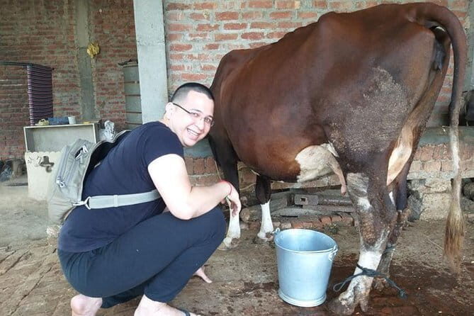 Amritsar Village Excursion - The Authentic Punjabi Meal and Farm Activities