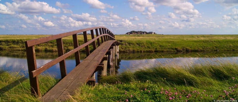 Amrum: Day trip by boat to Hallig Hooge - Authenticity and Visitor Reviews