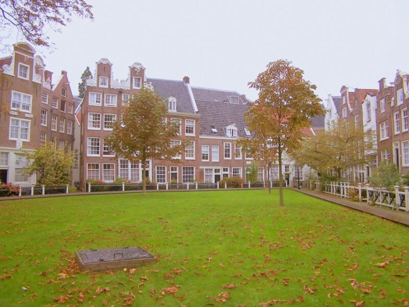 Amsterdam 1-Hour Rickshaw Tour - Why the Rickshaw Tour Works Well for Travelers