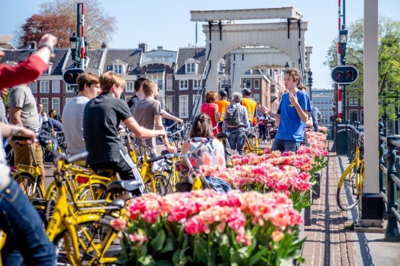 Amsterdam: 2-Hour City Highlights Guided Bike Tour - The Value: Price vs. Experience