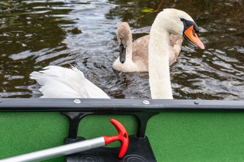 Amsterdam: 2-Hour Guided Canoe Trip - The Sum Up