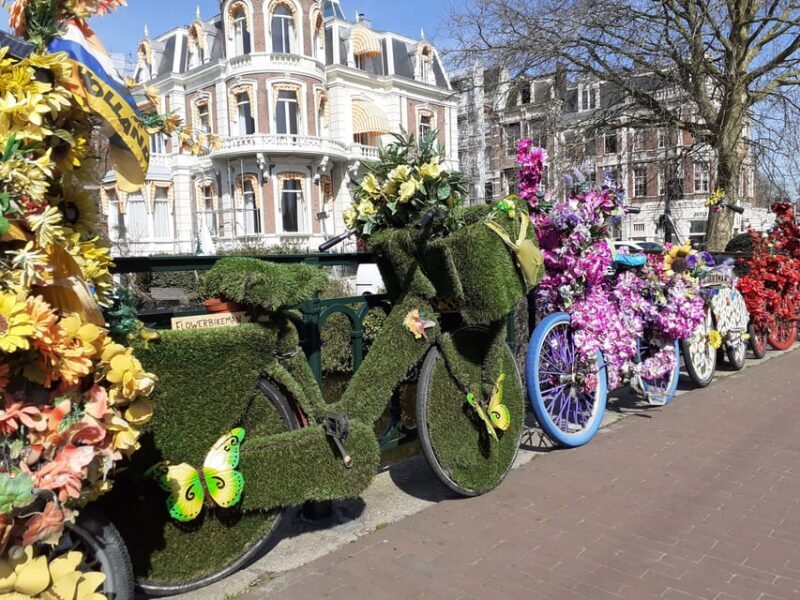 Amsterdam: 3-Hour Private Bike Tour of the City Center - Analyzing the Value