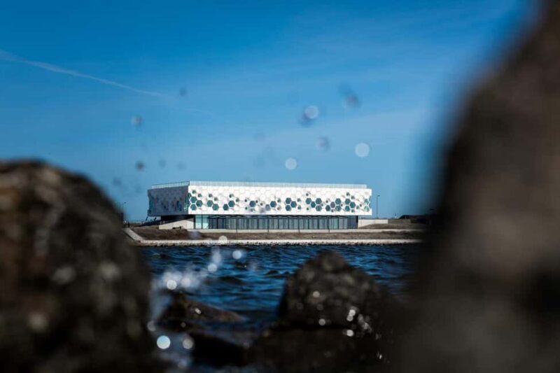 Amsterdam: Afsluitdijk & Wadden Center Museum Private Tour - Tour Breakdown: What to Expect