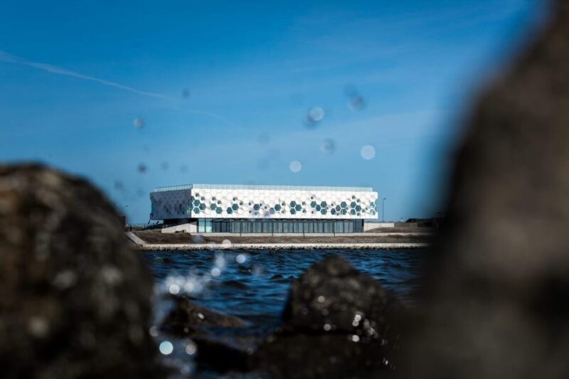 Amsterdam: Afsluitdijk & Wadden Center Museum Private Tour - Key Points