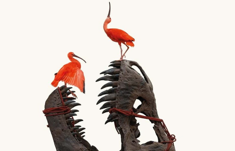 Amsterdam: Art Zoo Museum Entry Ticket & Audio Tour - A Close Look at the Art Zoo Museum Experience